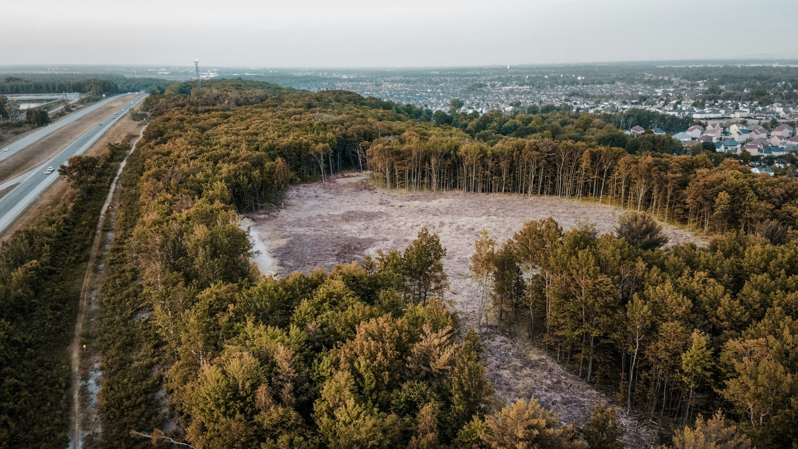 How contracts can transform deforestation regulation into climate ...